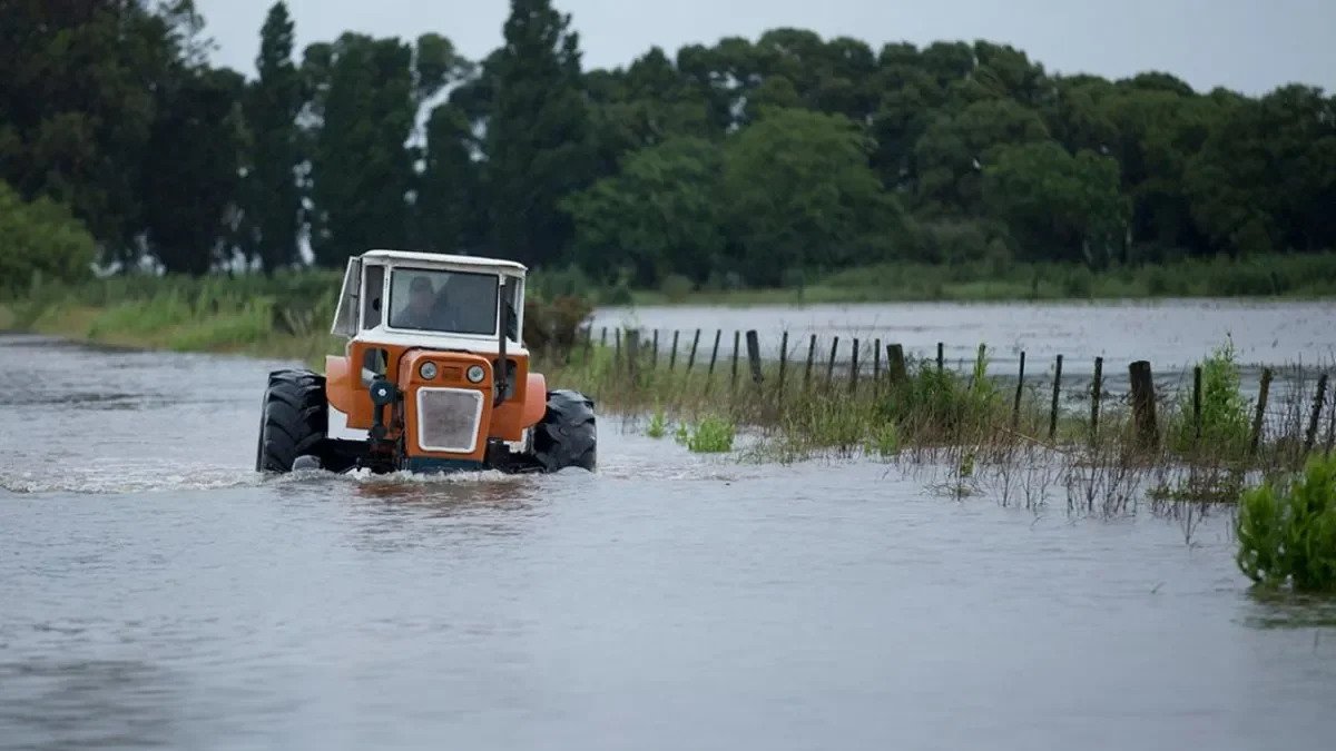 Amplían la emergencia agropecuaria por inundaciones - Diario Hoy En la ...